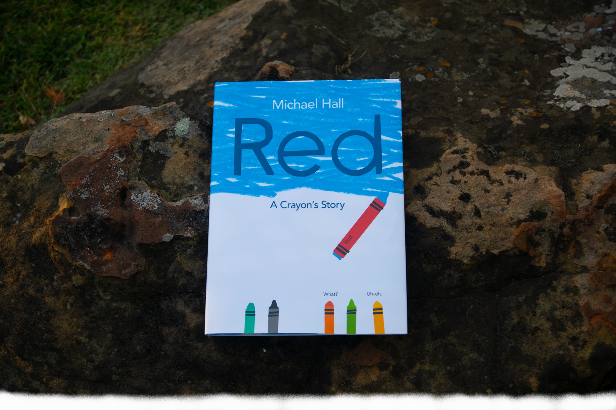 Book Review: Red: A Crayon's Story - Do You Mind